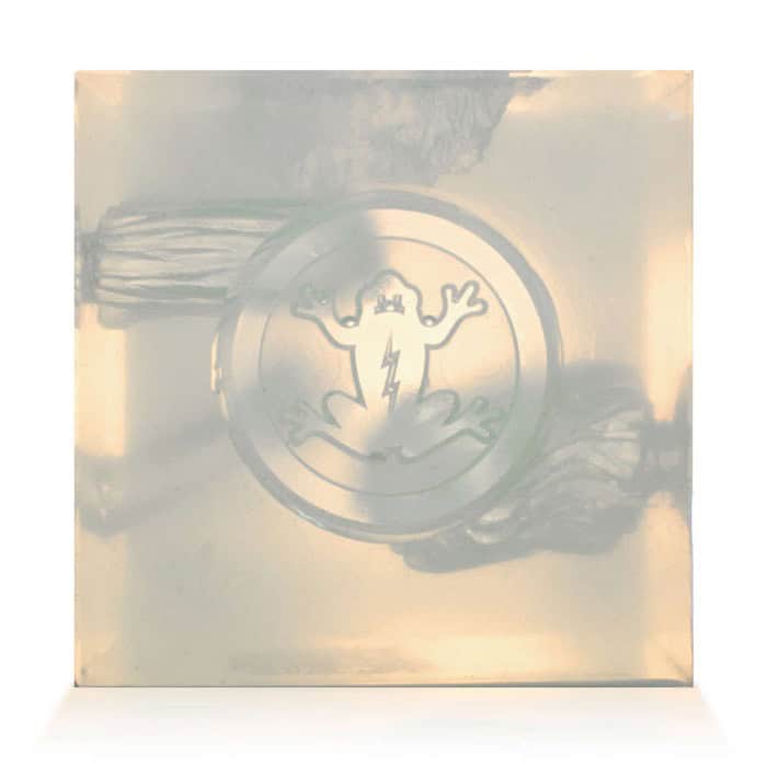 Phokus Research Group - UN12Magazine